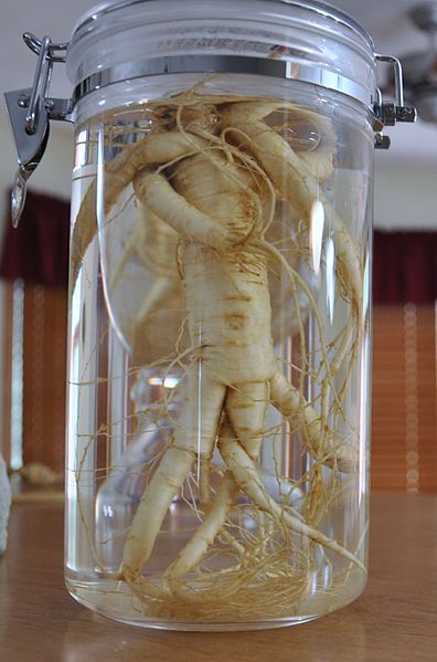 American Ginseng: Male Fertility Tonic - Natural Fertility Info.com ...