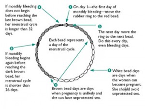 Cycle Beads: A Fertility and Ovulation Predictor