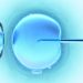 New Time Lapse Technology May Increase IVF Success Rate