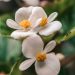 Natural Fertility Coaching Video #5: How to Use Cycle Beads