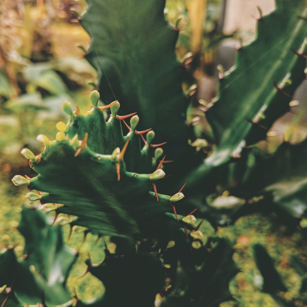 3 Of The Most Common Fertility Issues Men Experience
