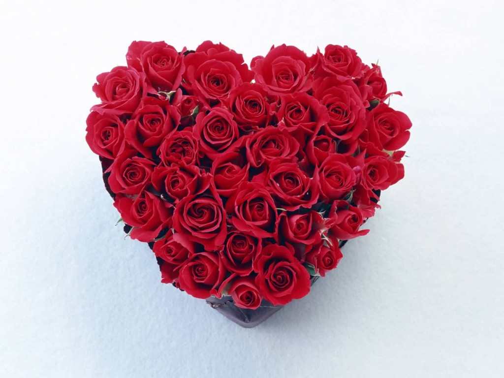 The Heart Shaped Uterus And Fertility Natural Fertility Info